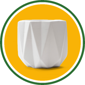 Online Nursery for Plants, Tools, and Garden Accessories - Urvann