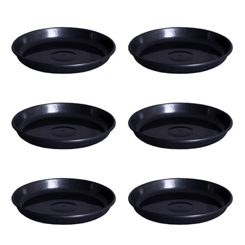 Free Next Day Delivery | Set of 6 - 6 Inch Black Premium Black Tray ...