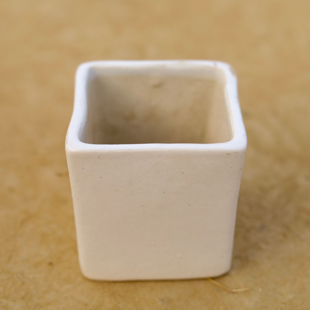 Free Next Day Delivery | 4 Inch Classy White Square Ceramic Pot