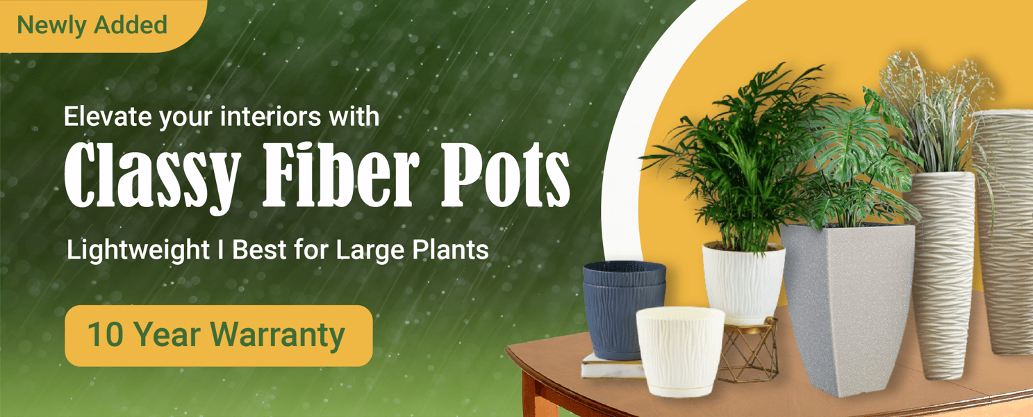 Online Nursery for Plants, Tools, and Garden Accessories - Urvann