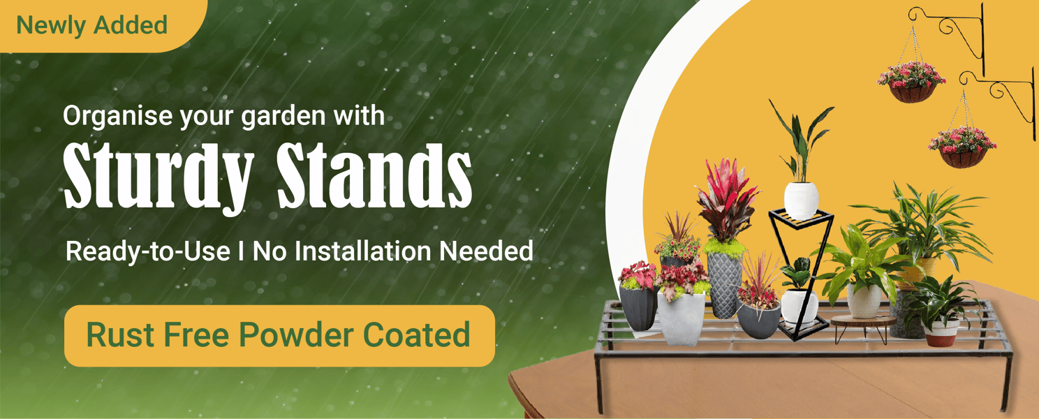 Online Nursery for Plants, Tools, and Garden Accessories - Urvann