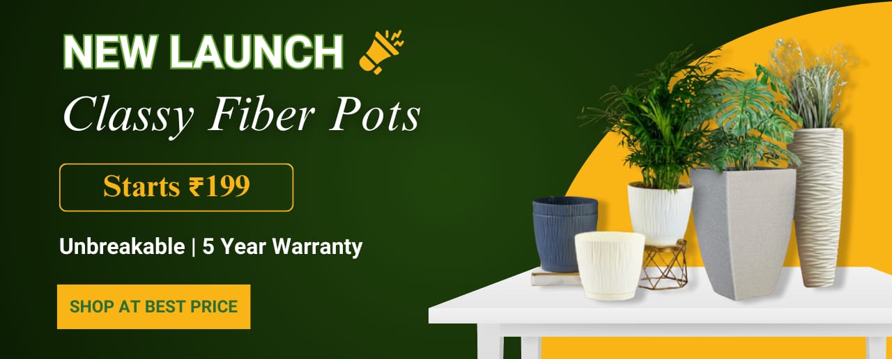 Online Nursery for Plants, Tools, and Garden Accessories - Urvann