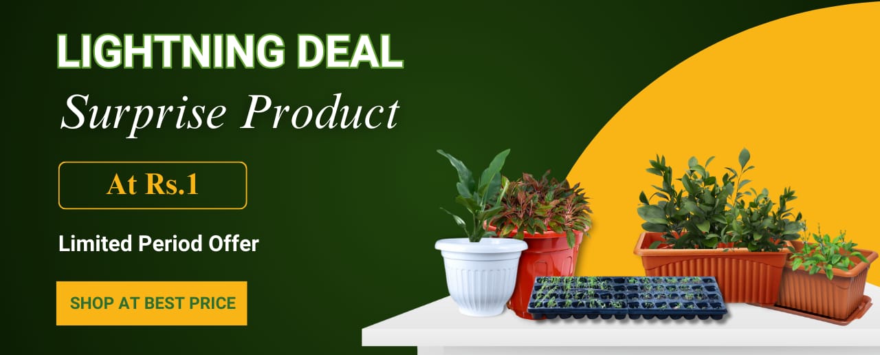 Online Nursery for Plants, Tools, and Garden Accessories - Urvann