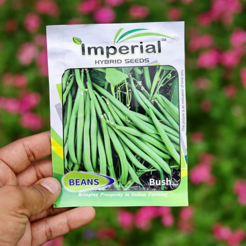 Free Next Day Delivery | Beans seeds - Excellent Germination