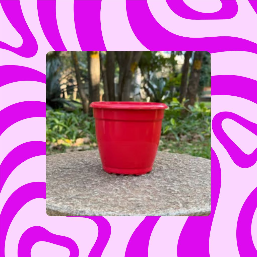 Free Next Day Delivery | 3 Inch Ruby Red Elora Premium Plastic Planter