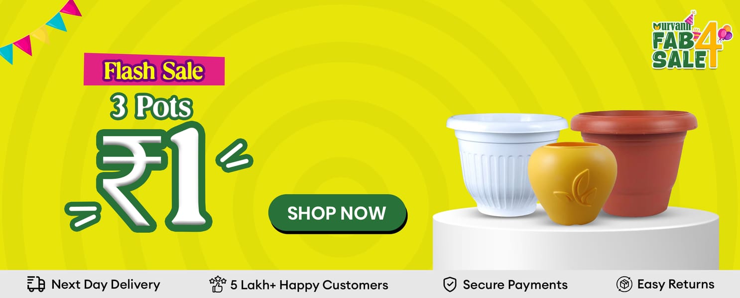 Online Nursery for Plants, Tools, and Garden Accessories - Urvann