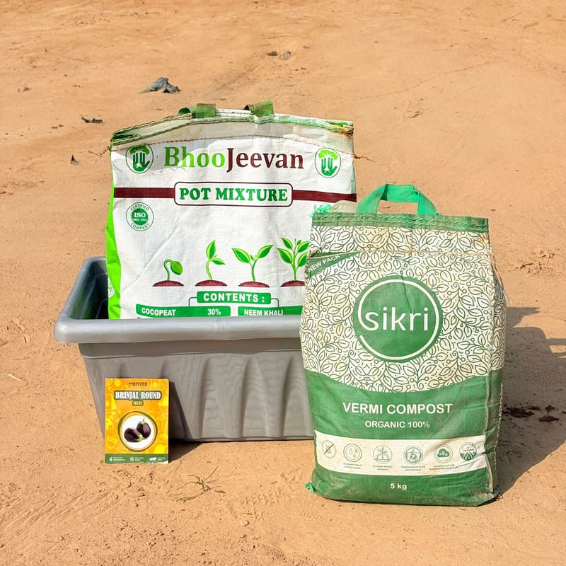 Brinjal Round Grow Kit - 20 Inch Grey Window Planter + 10Kg Soil ...